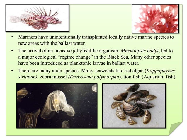 Threats to marine biodiversity | PPTX