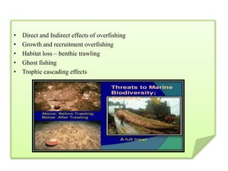 Threats to marine biodiversity | PPTX