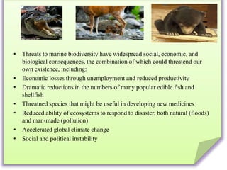 Threats to marine biodiversity | PPTX