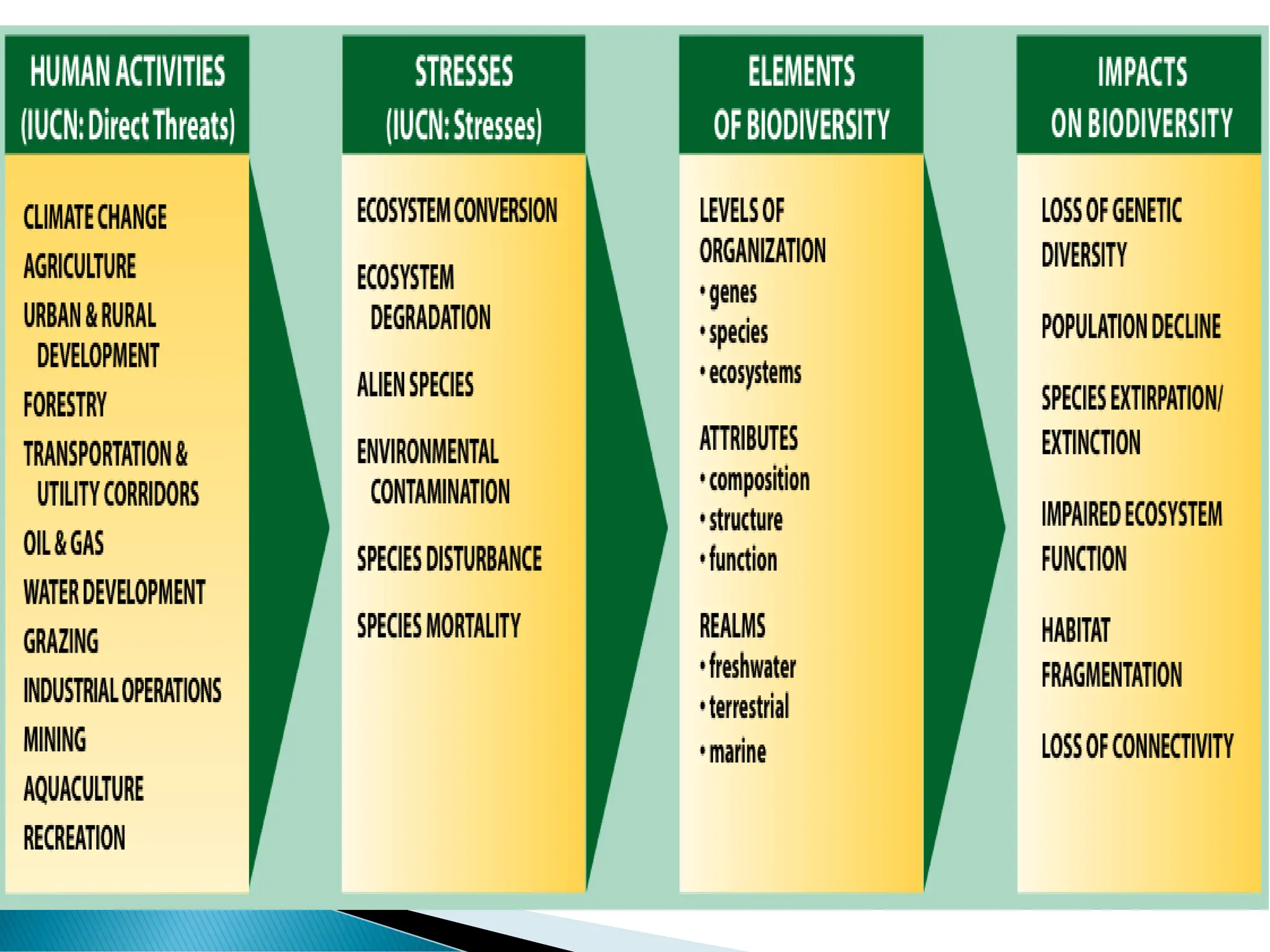 Biodiversity, types, factors and causes of loss in biodiversity.pdf