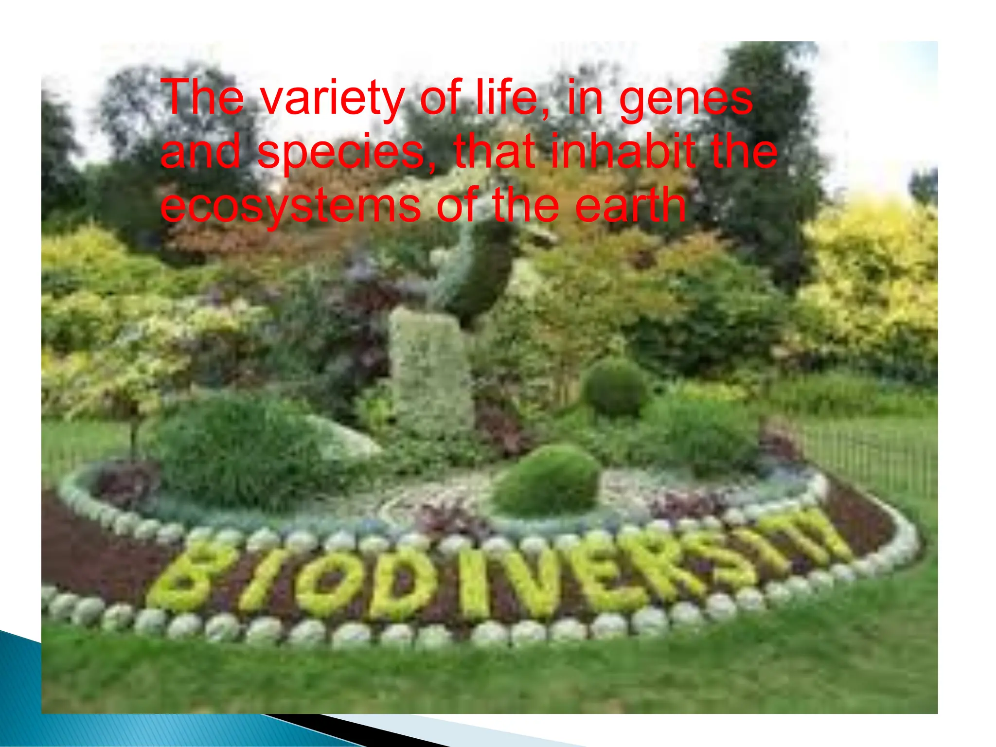 Biodiversity, types, factors and causes of loss in biodiversity.pdf