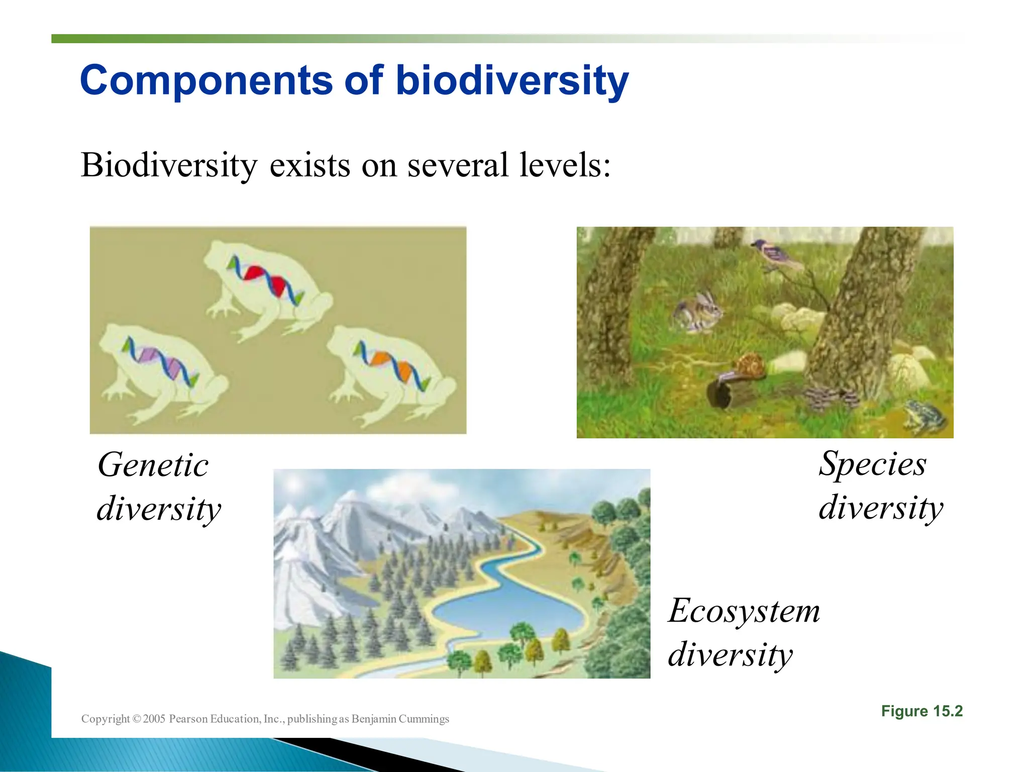 Biodiversity, types, factors and causes of loss in biodiversity.pdf