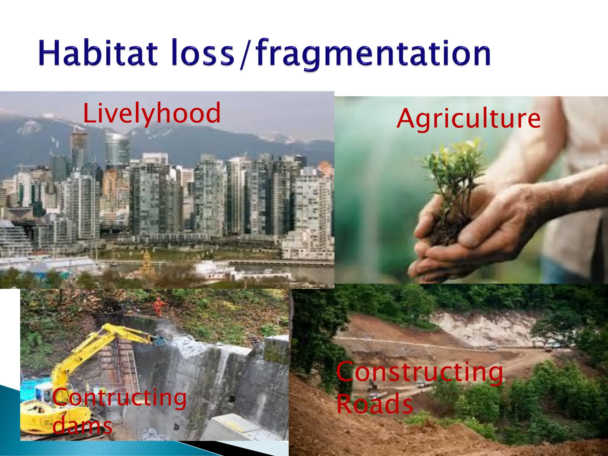 Biodiversity, types, factors and causes of loss in biodiversity.pdf