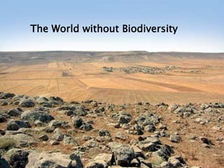 Biodiversity, types, factors and causes of loss in biodiversity.pdf