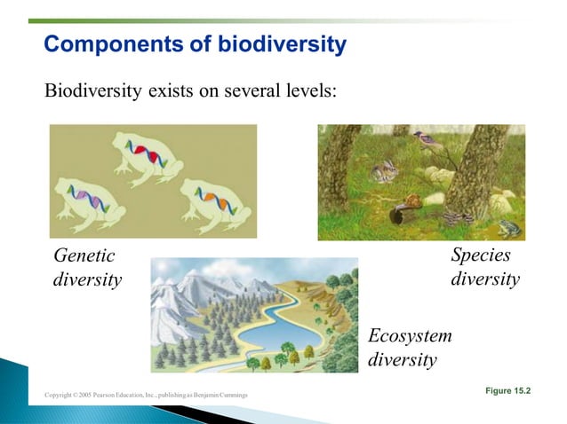 Biodiversity, types, factors and causes of loss in biodiversity.pdf