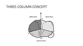 Three column fixation for complex PROXIMAL TIBIA FRACTURES | PPTX