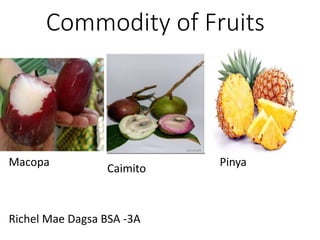 Three-commodity-of-fruits-Dagsa.pptx.edu