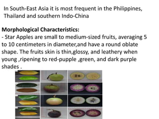 Three-commodity-of-fruits-Dagsa.pptx.edu