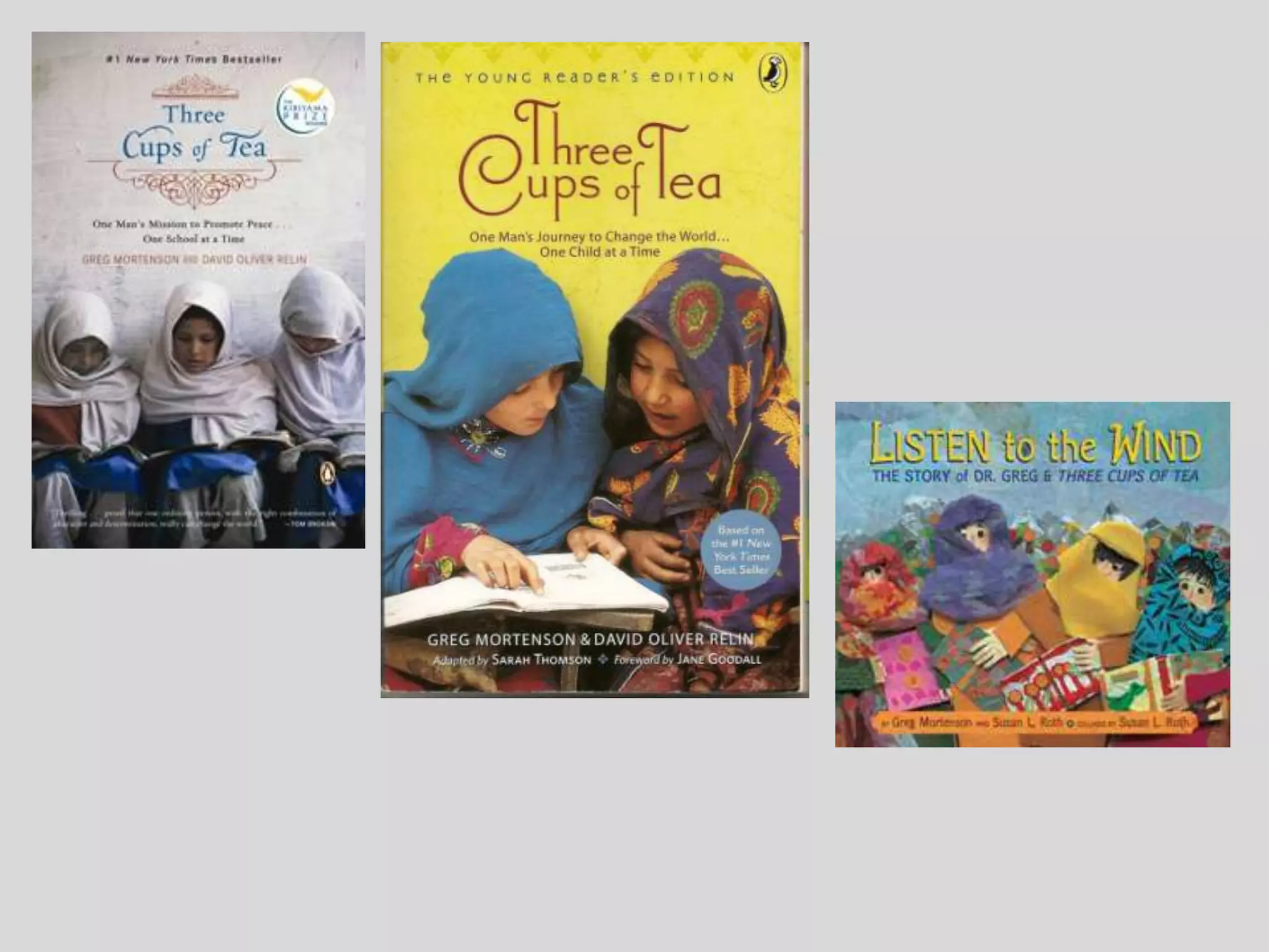 Three Cups of Tea Discussion | PPTX