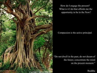 Three Fold Path To Wholeness | PPT