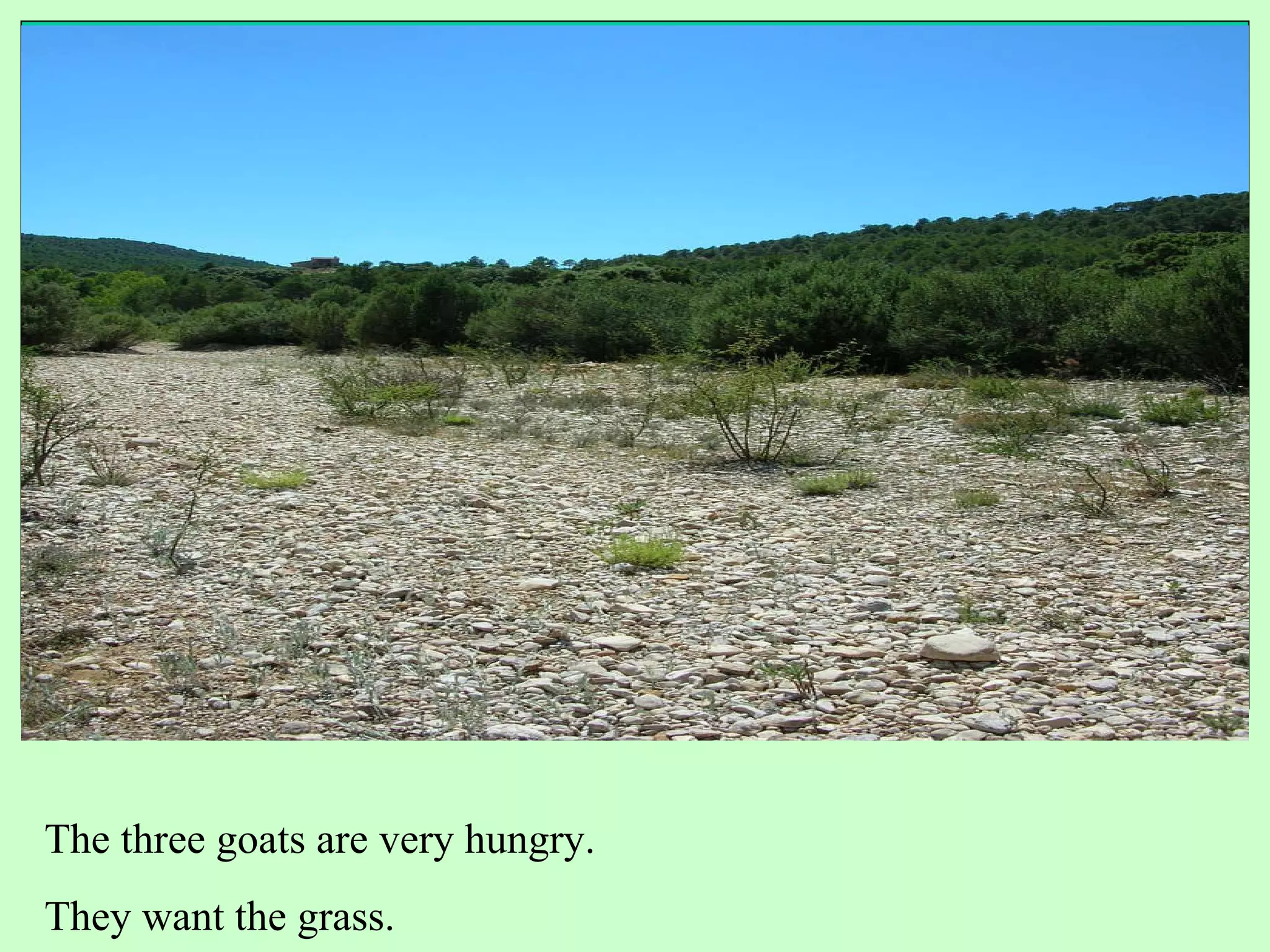 Three Billy Goats Gruff | PPT