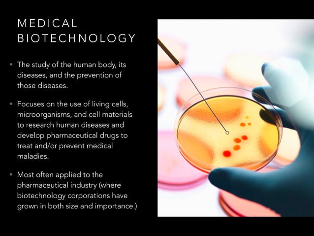The Three Branches of Biotechnology | PDF