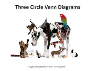 Three Circle Venn Diagrams | PPT