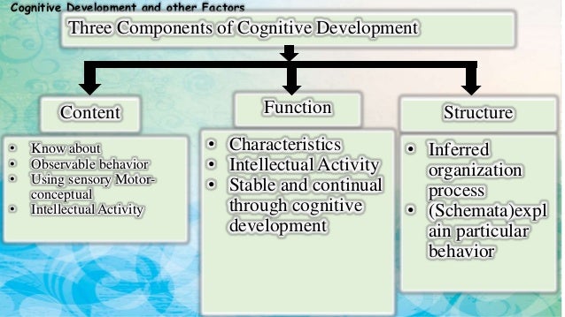 Jean Piaget-Three Components of Cognitive Development