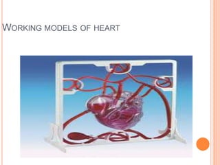 Three dimensional aids | PPTX