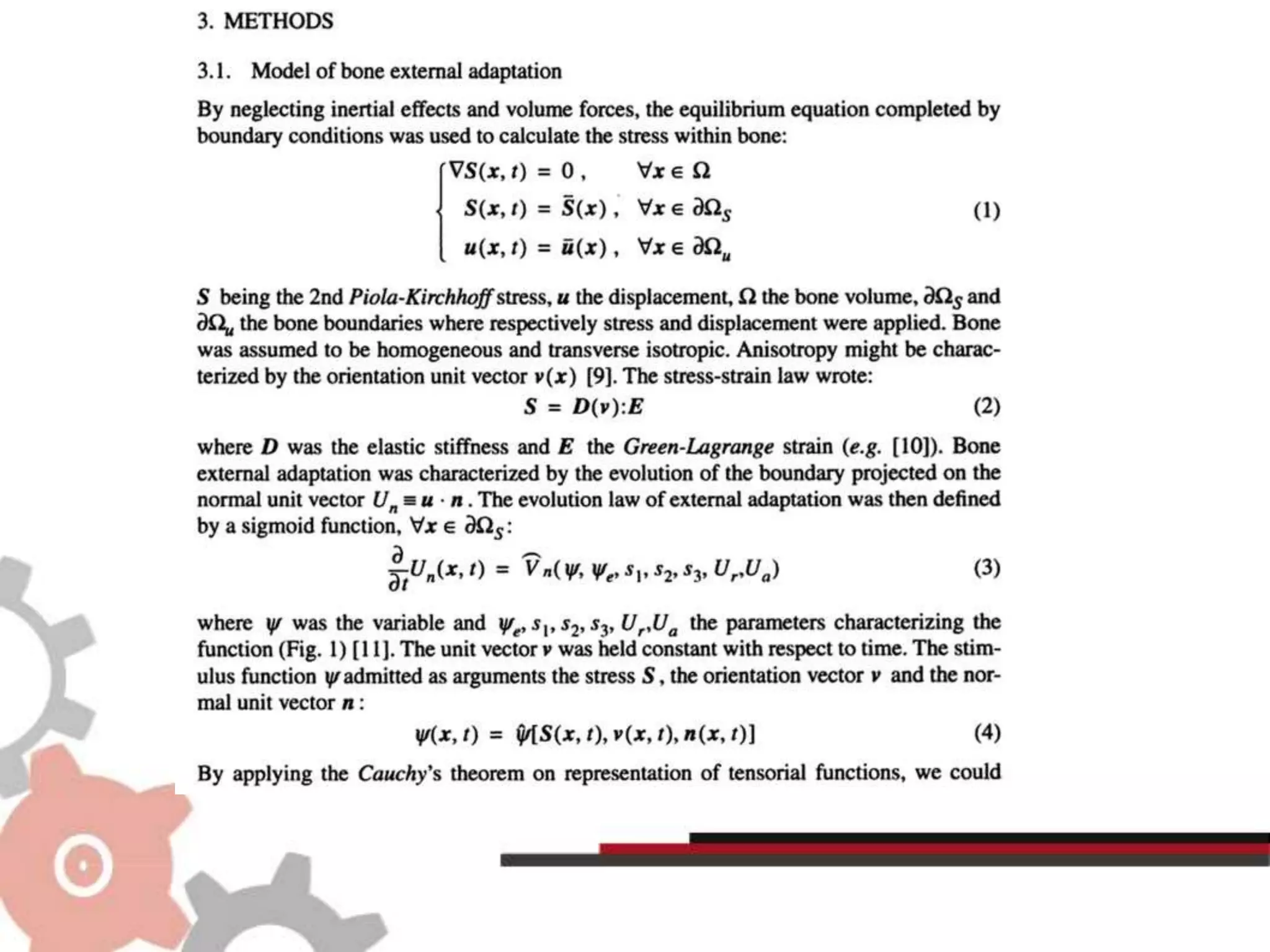 Three dimensional model of bone external adaptation | PPT