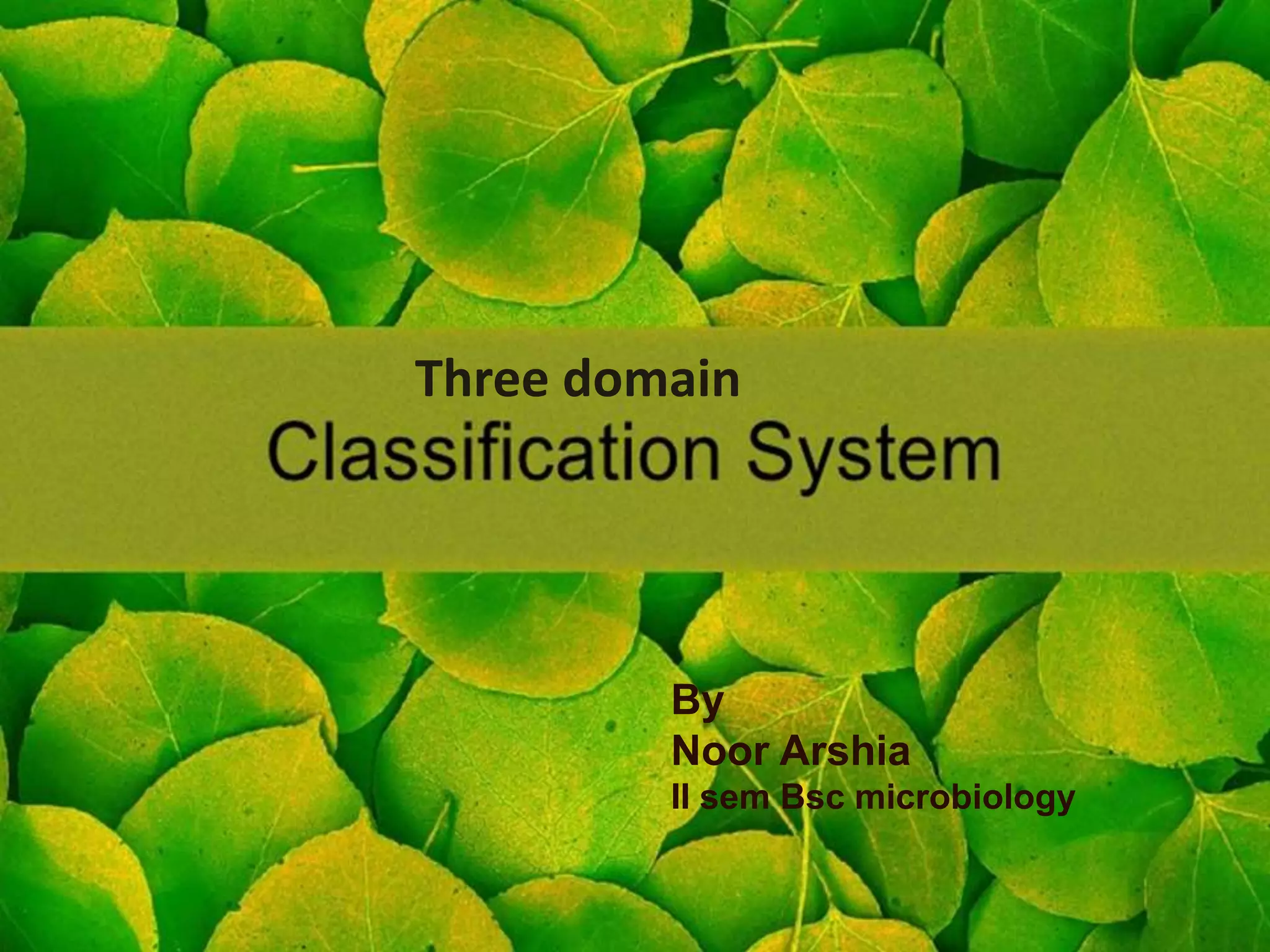 Three domain of classification | PPTX
