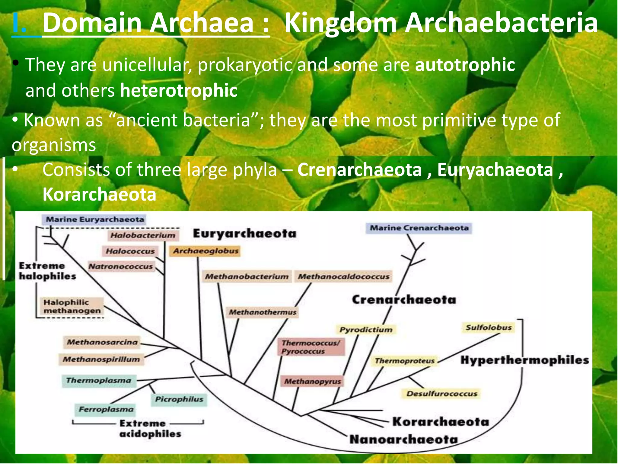 Three domain of classification | PPTX