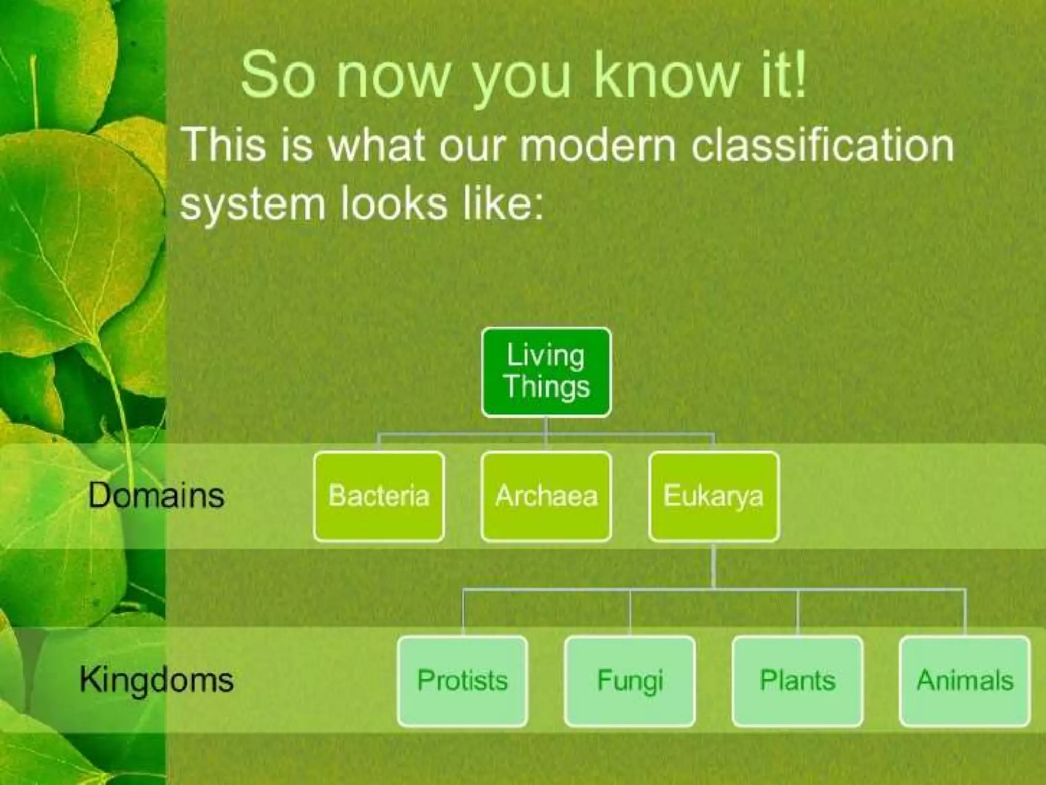 Three domain of classification | PPTX