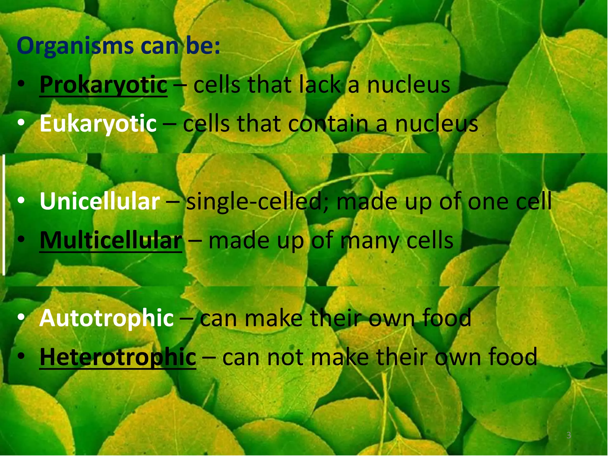 Three domain of classification | PPTX