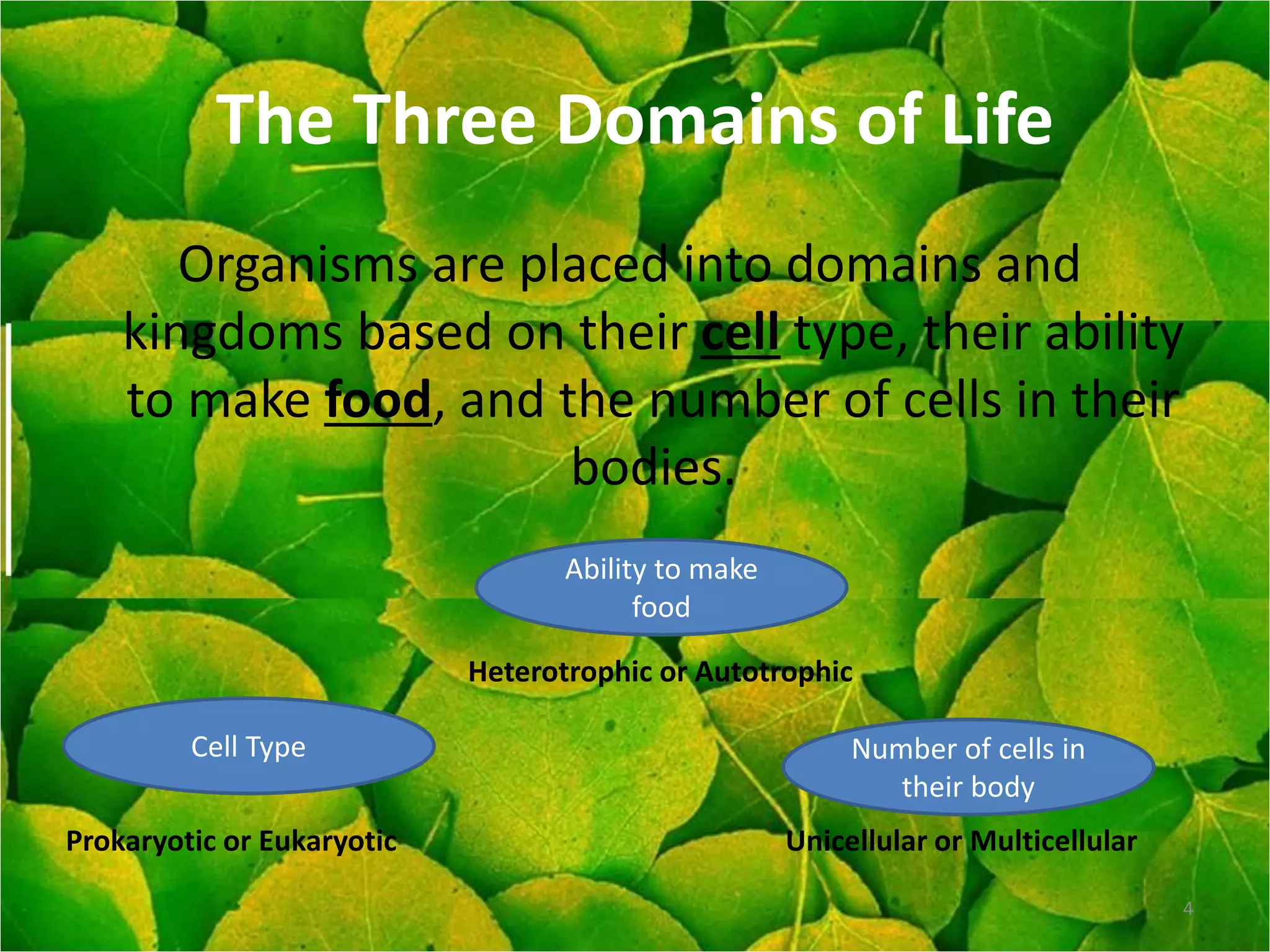 Three domain of classification | PPTX