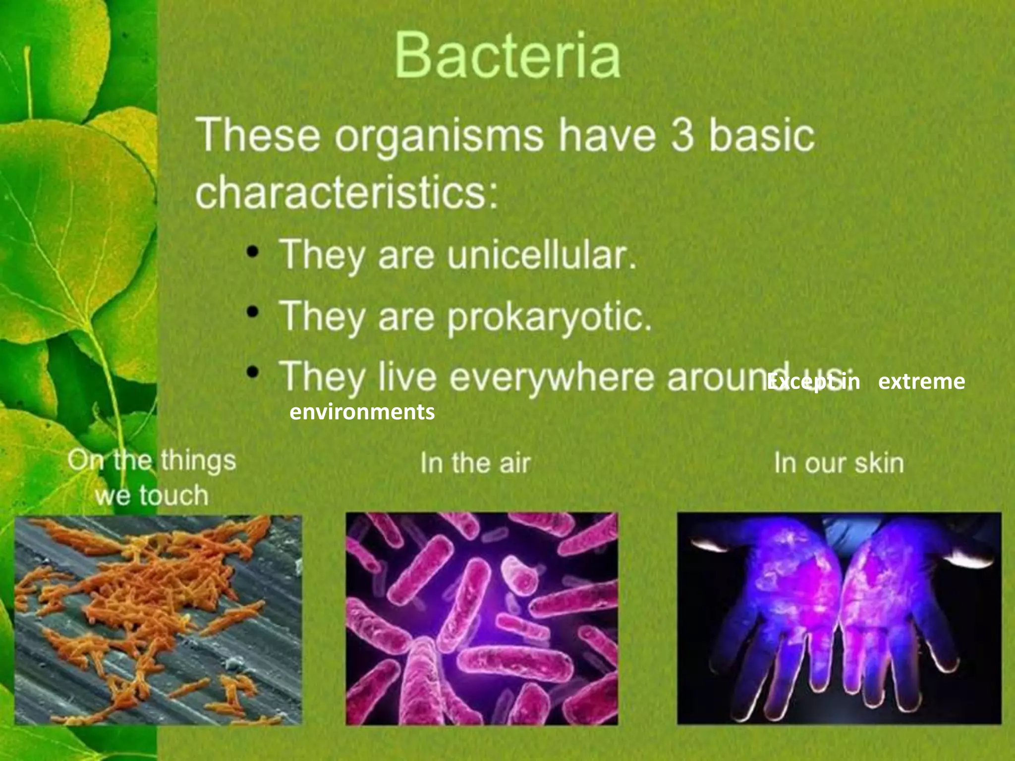 Three domain of classification | PPTX