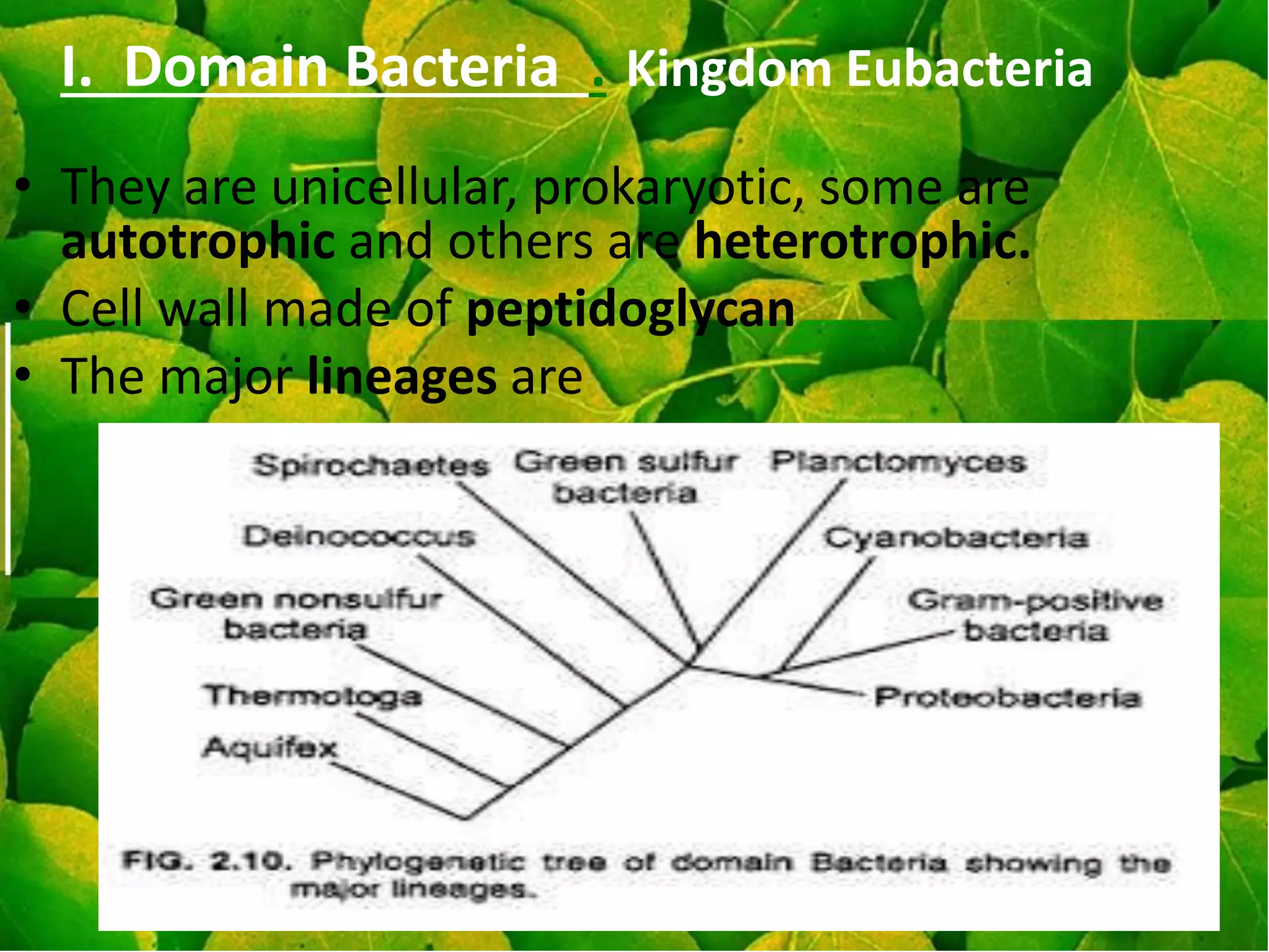 Three domain of classification | PPTX