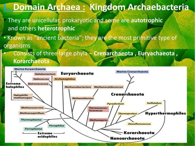 Three domain of classification | PPTX | Biological Sciences | Science