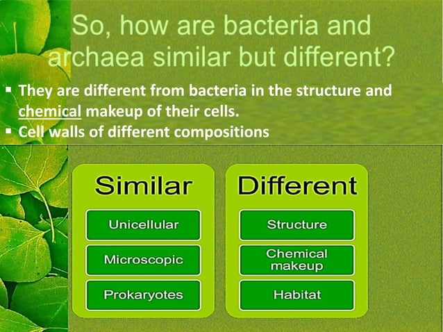 Three domain of classification | PPTX | Biological Sciences | Science