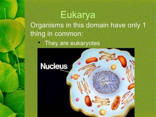 Three domain of classification | PPTX | Biological Sciences | Science