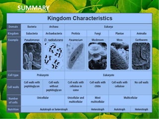 Three domain of classification | PPTX