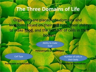 Three domain of classification | PPTX
