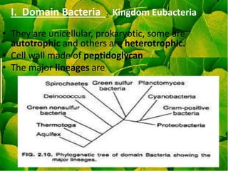 Three domain of classification | PPTX