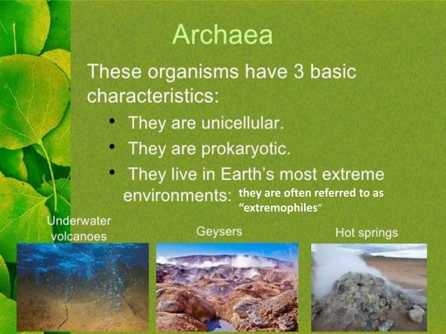 Three domain of classification | PPTX | Biological Sciences | Science