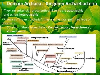 Three Domain Classification