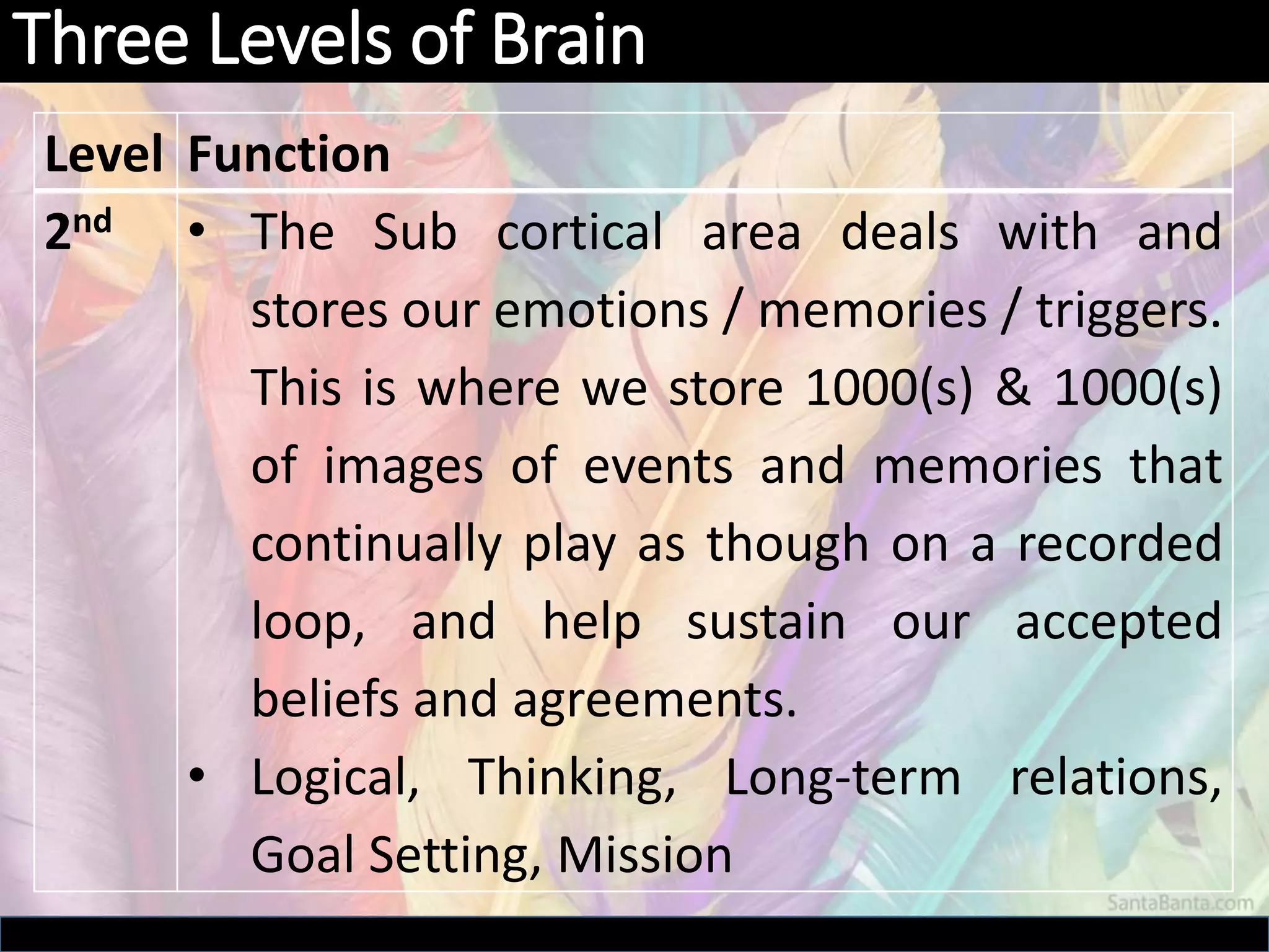 Three levels of brain | PPT