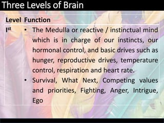 Three levels of brain | PPT