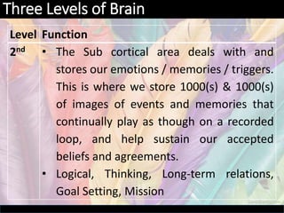 Three levels of brain | PPT