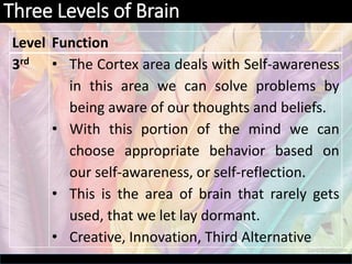 Three levels of brain | PPT
