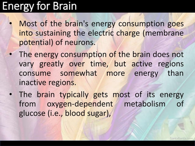 Three levels of brain | PPT