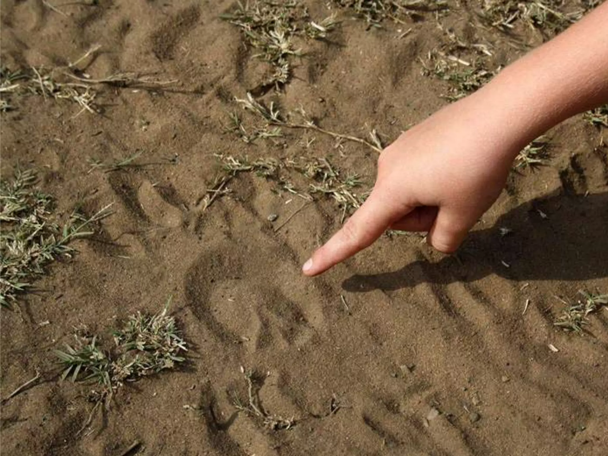 Three levels of reading | PPTX