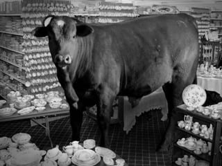 Three levels of reading | PPTX