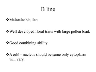 Three line system of hybrid seed production | PPTX