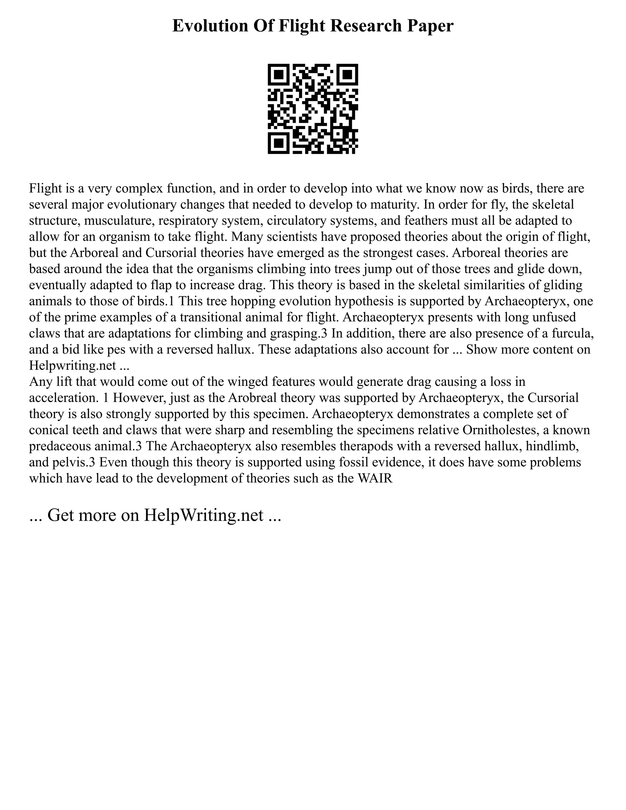 Three Paragraph Essay Graphic Organizer BrainP | PDF