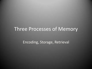Three processes of memory | PPTX