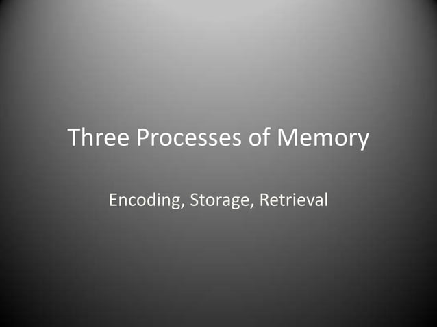 Three processes of memory | PPTX | Data Storage and Warehousing | Computing