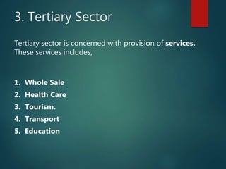 THREE SECTOR THEORY | PPTX