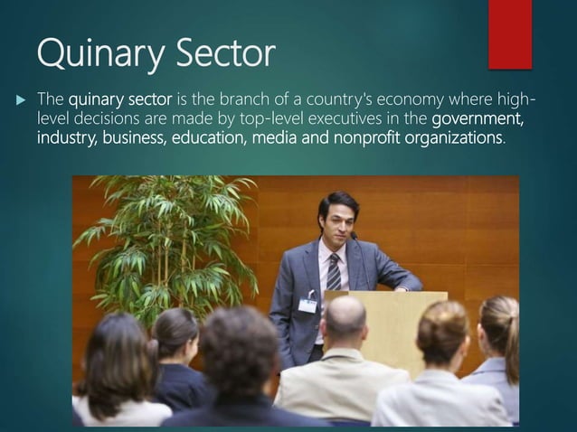 THREE SECTOR THEORY | PPT | Free Download