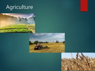 THREE SECTOR THEORY | PPTX