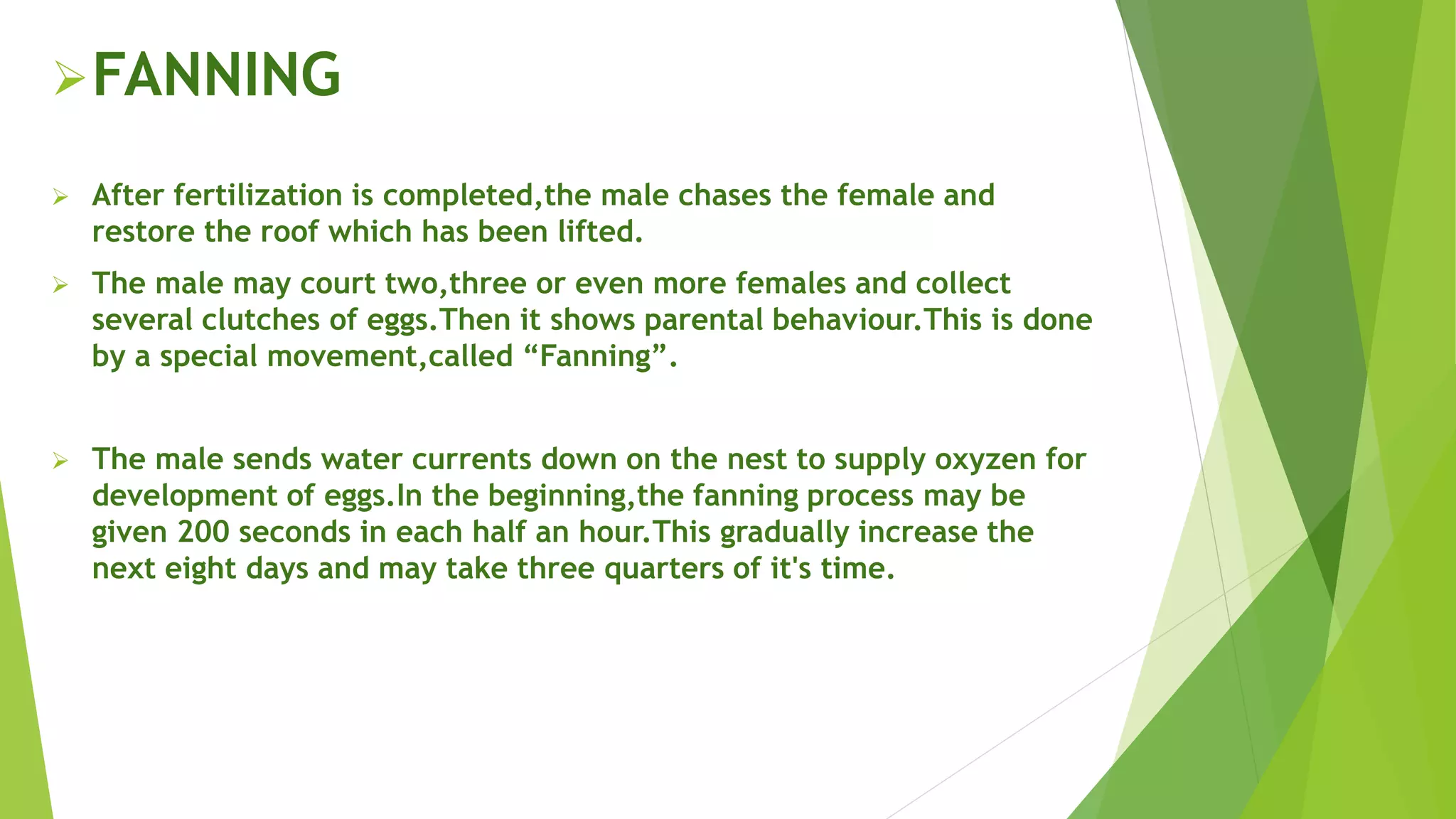 Three spined stickle back presentation | PPTX